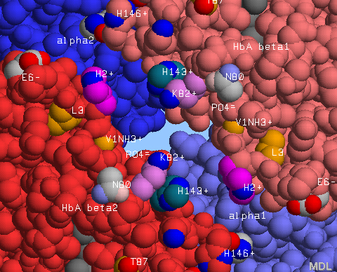 Topics for Week 3 of the Biochemistry Computer Lab (MCDB108AL)