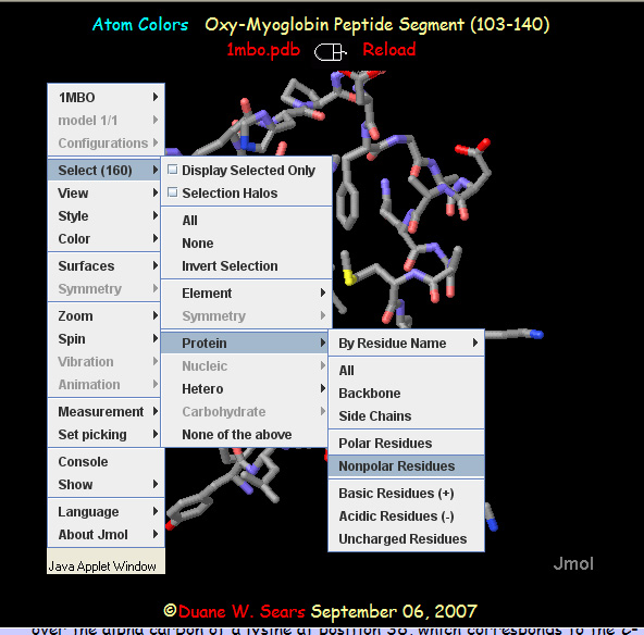 JSmol Popup Menu Tutorial Answer 06
