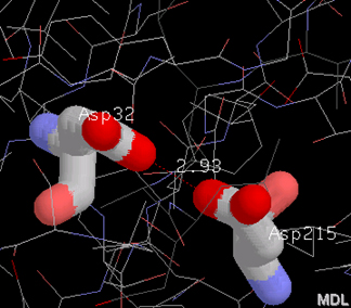 Topics for Week 5 of General Biochemistry (MCDB W 108A)