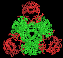 Topics for Week 9 of the Biochemistry Computer Lab (MCDB108AL)