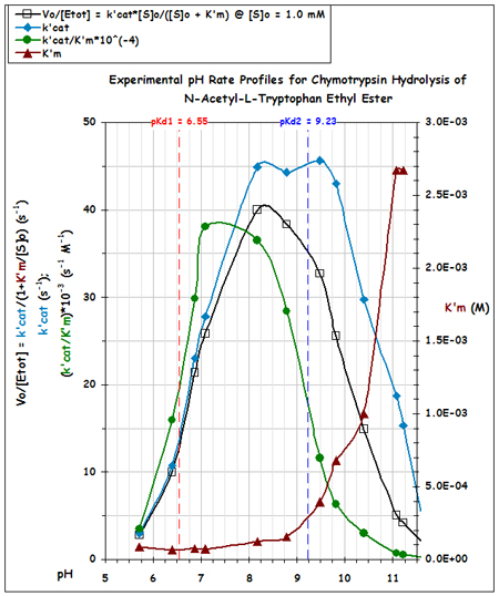 Topics for Week 5 of General Biochemistry (MCDB W 108A)