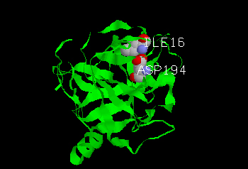 Topics for Week 5 of General Biochemistry (MCDB W 108A)