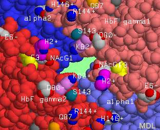 Topics for Week 4 of the Biochemistry Computer Lab (MCDB108AL)