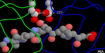 Topics for Week 5 of General Biochemistry (MCDB W 108A)