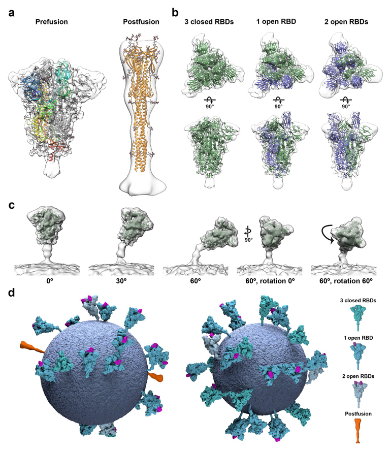 Animation for X-Ray Crystallography